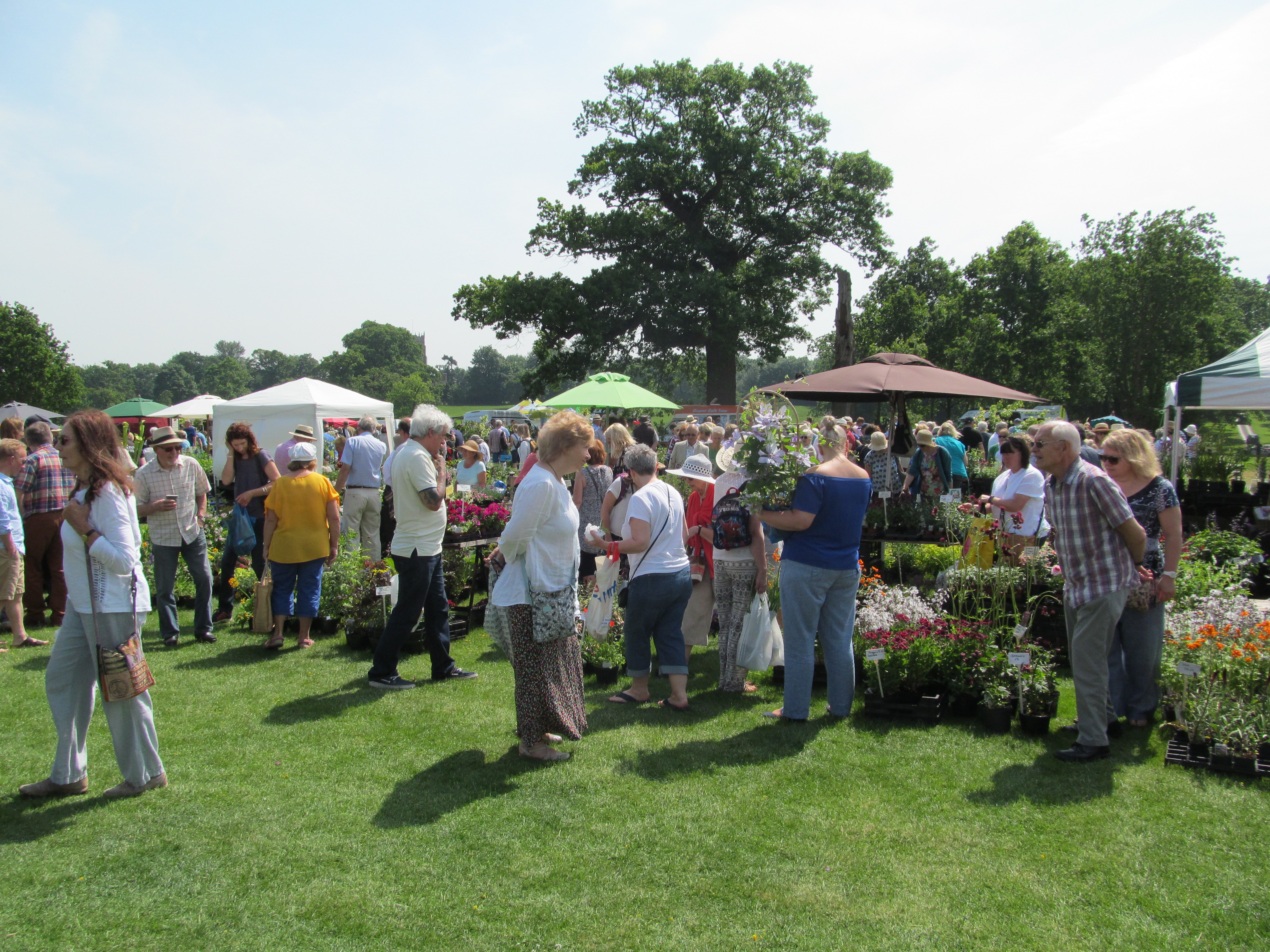 Autumn Plant Fair 2020 – Suffolk Plant Heritage